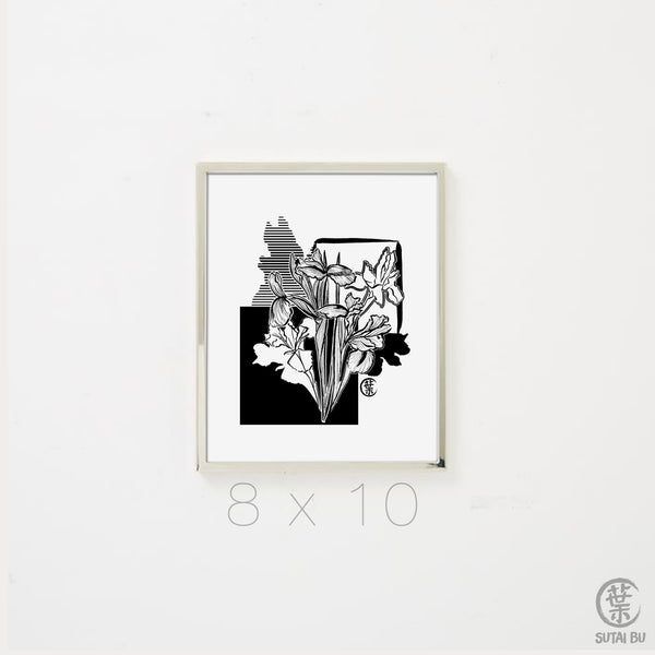 Iris Square | Giclee Art Print – Sutai Bu